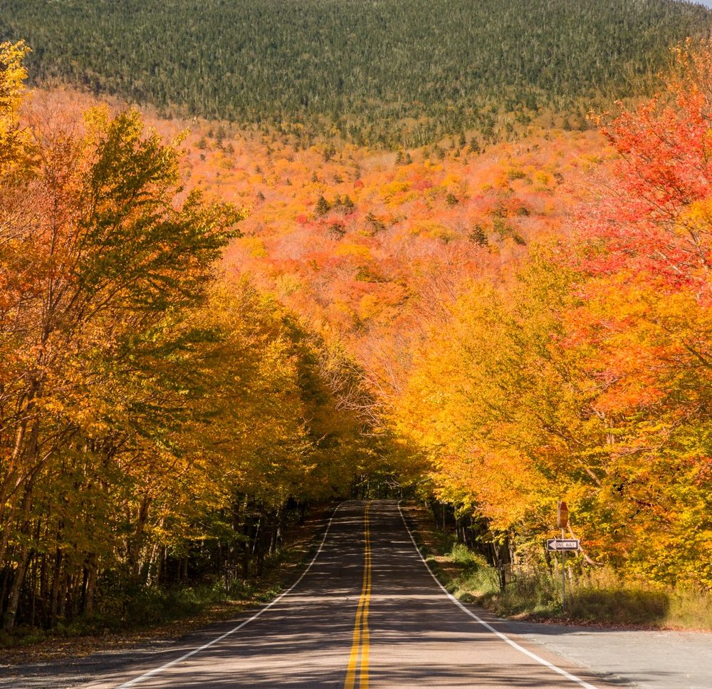 Romantic Inn - Mad River Valley, Vermont | The Pitcher Inn